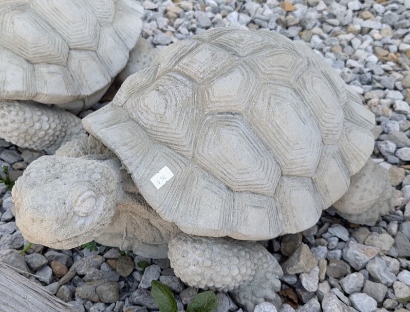 Large Box Turtle | Rock Hard Yard Art